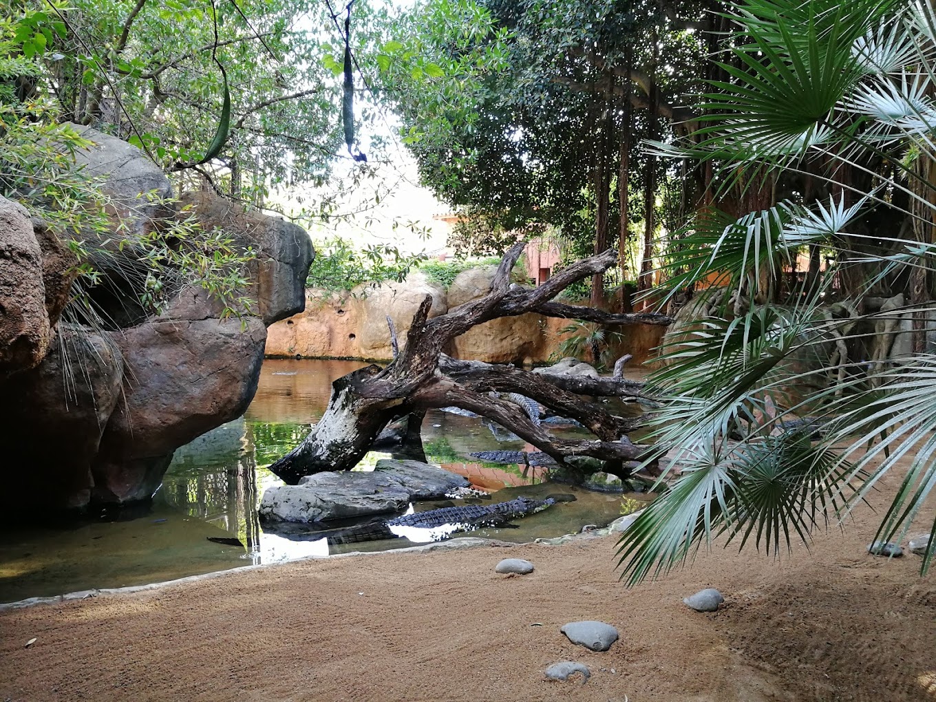 Entradas para Bioparc Fuengirola - Comprar entradas Zoológico