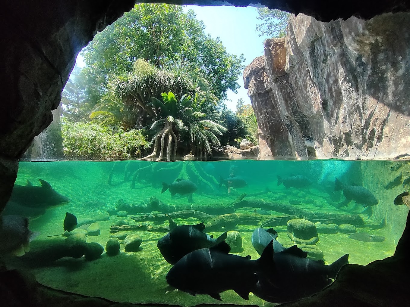 Entradas para Bioparc Fuengirola - Comprar entradas Zoológico