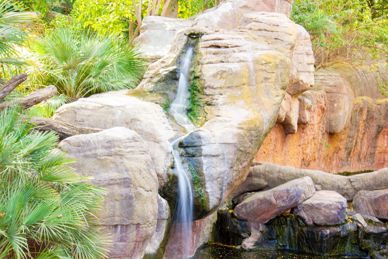 Entradas para Bioparc Fuengirola - Comprar entradas Zoológico