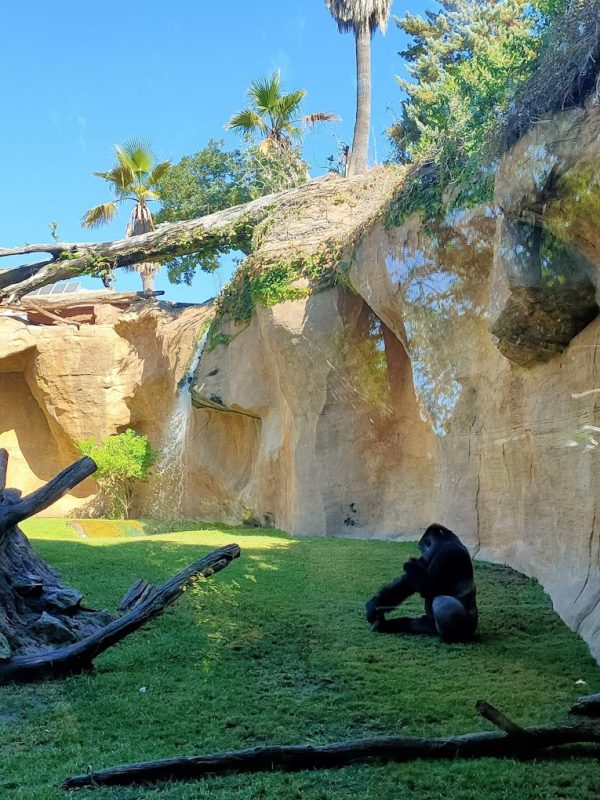 Entradas para Bioparc Fuengirola - Comprar entradas Zoológico