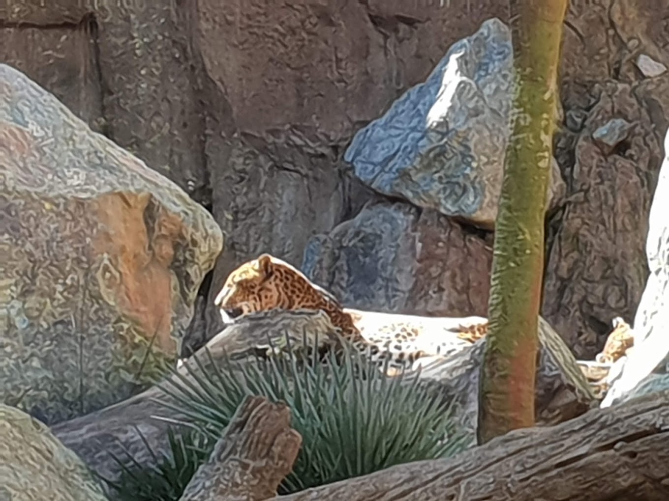 Entradas para Bioparc Fuengirola - Comprar entradas Zoológico