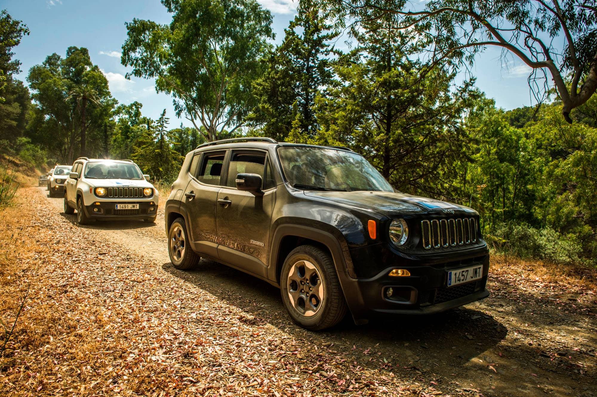 Jeep Rally 4X4 GPS - Actividad orientación de equipos
